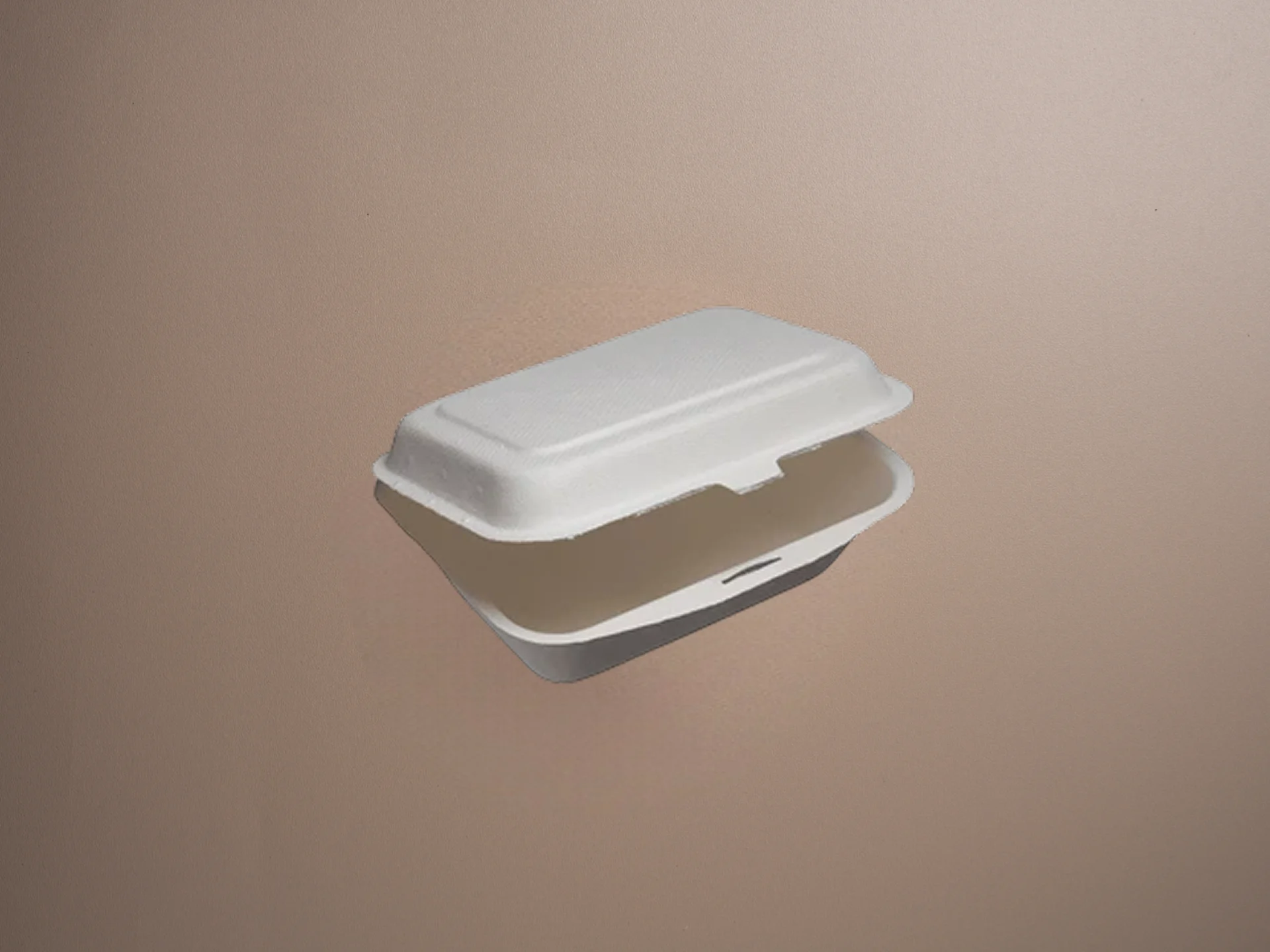 Bagasse Clamshell Box Manufacturers and Wholesalers